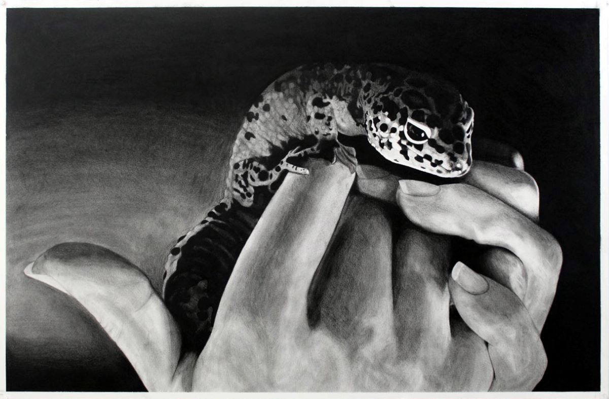 Madison Smiley – Art Portfolio and CV of Madison Smiley